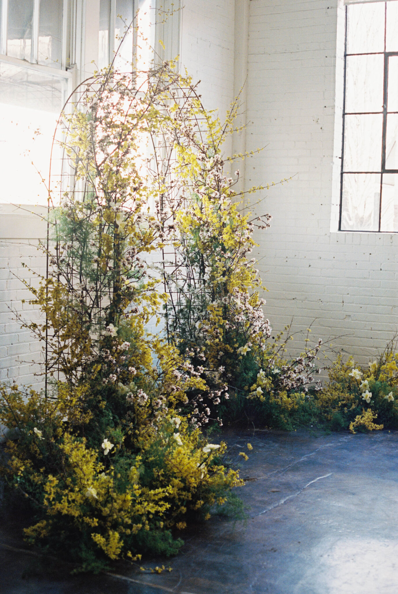 Fleurish Workshop With a Forsythia Floral Arbor | Gather Floral
