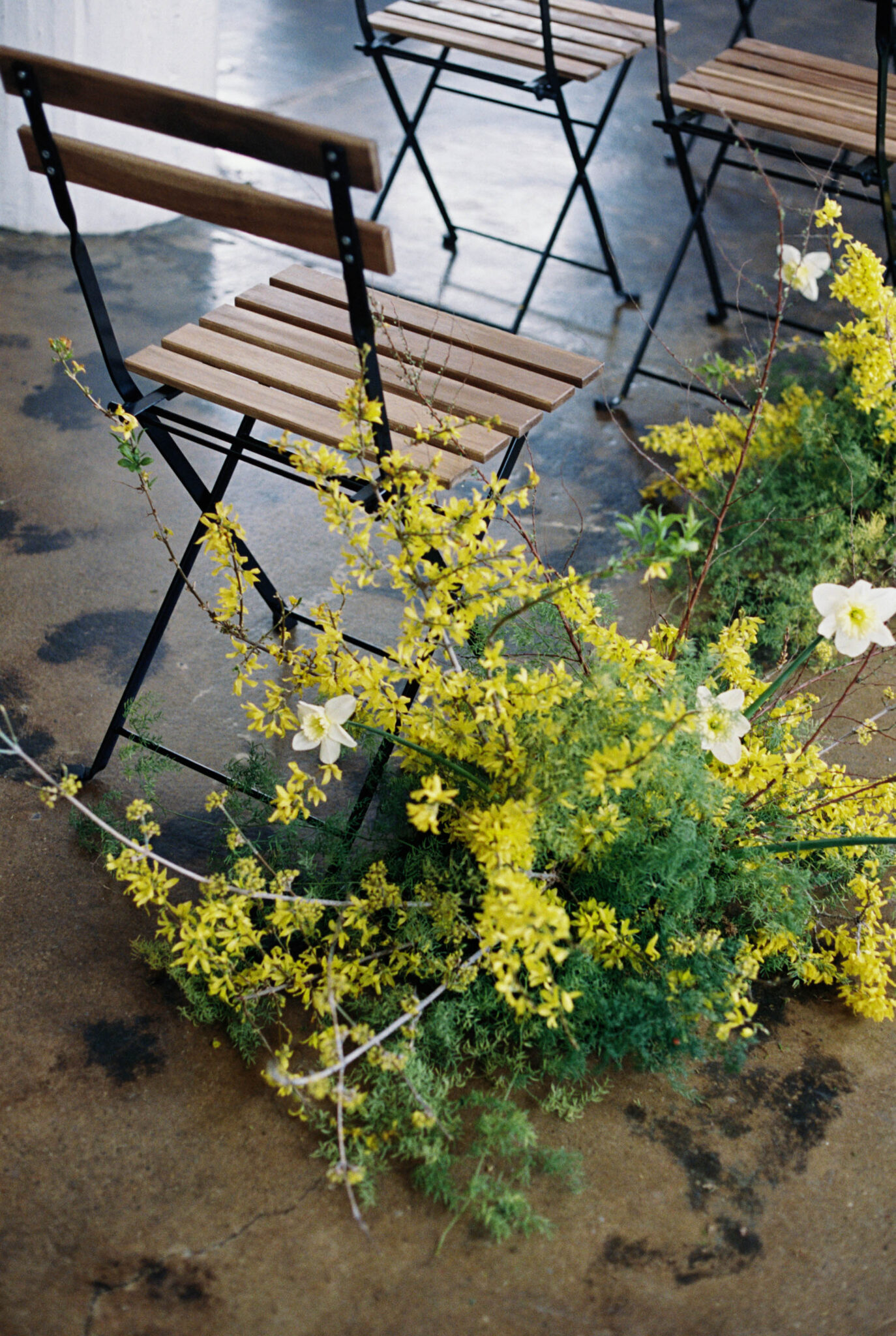 Fleurish Workshop With a Forsythia Floral Arbor | Gather Floral